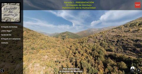 El Hayedo de Montejo de la Sierra | Web Oficial de Montejo